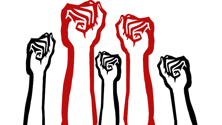 CITIZENS FIGHTING BACK - Ripp Report